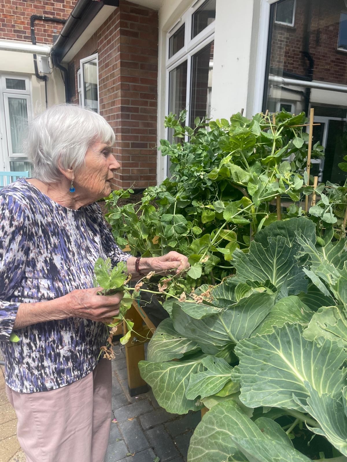 Green Fingers at Corton House
